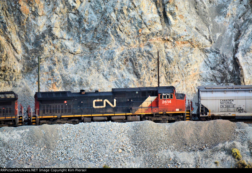 CN 2614